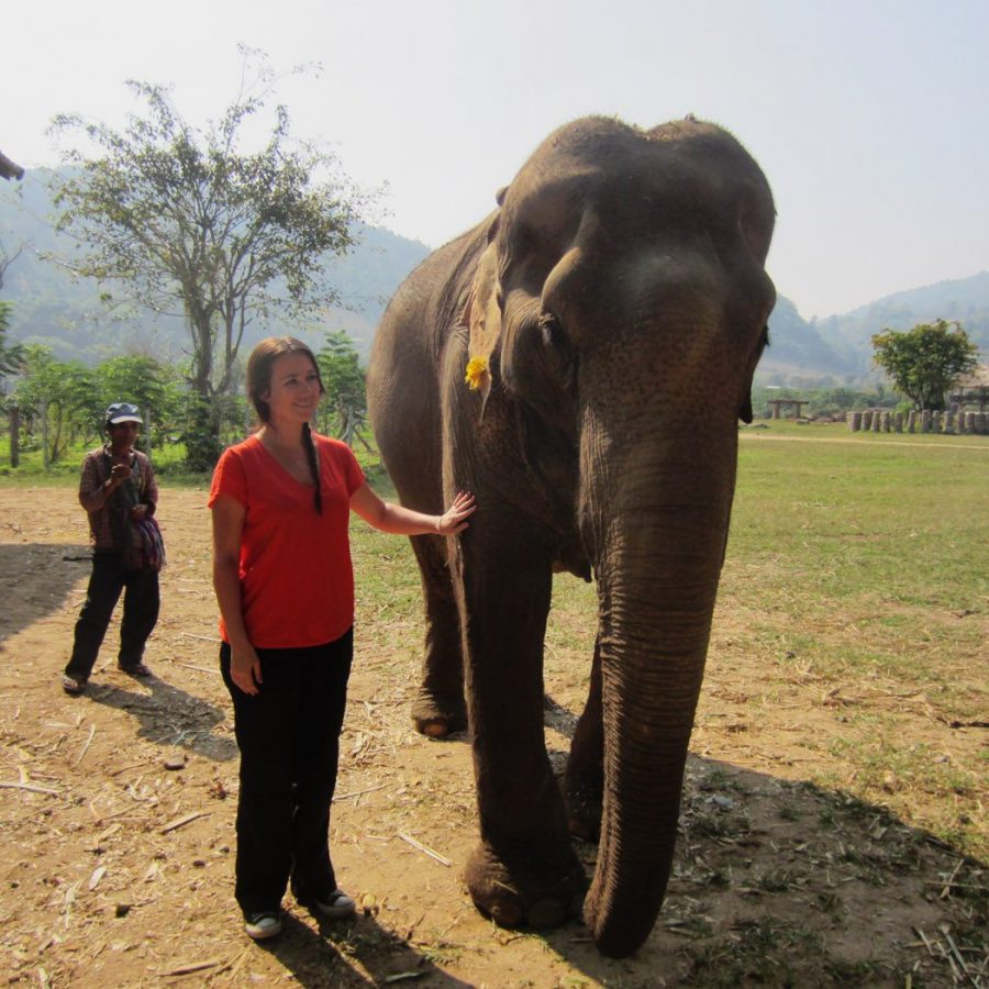 Why You Should Not Ride Elephants